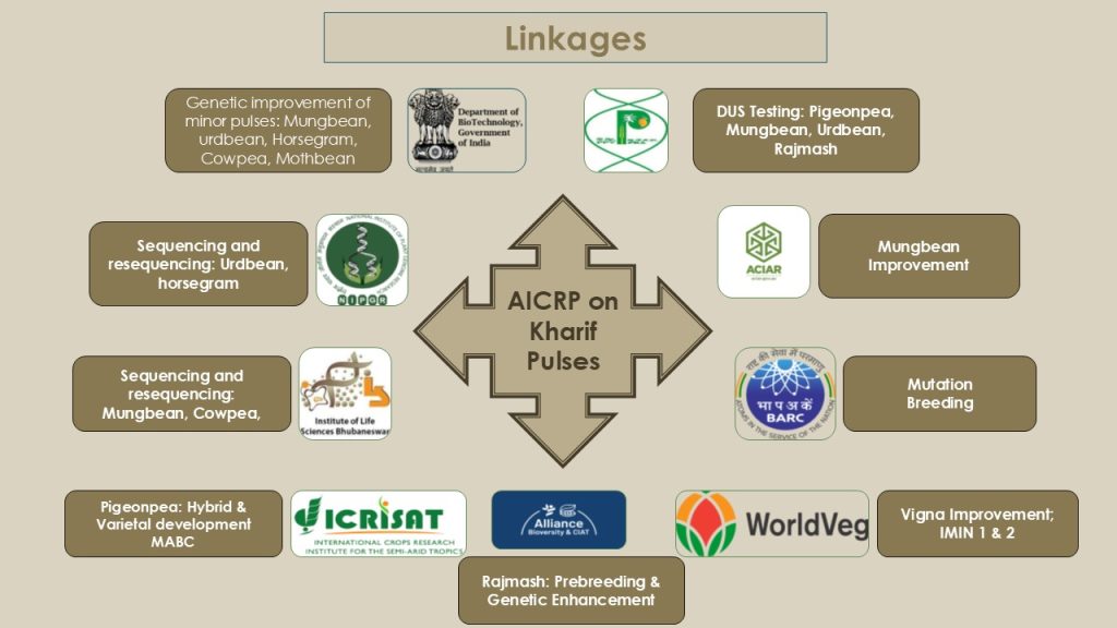 Indian Institute of Pulses Research